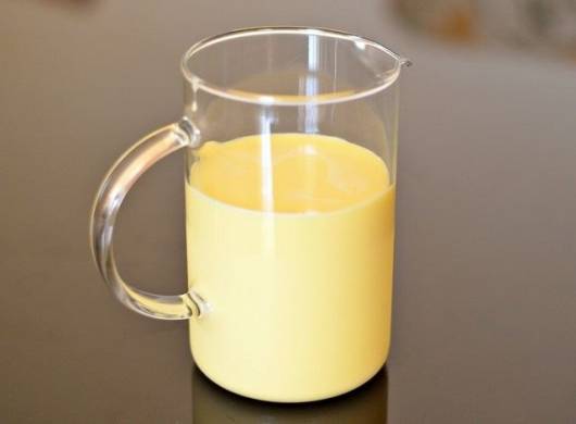 O colostro possui os principais anticorpos que o recém-nascido precisa